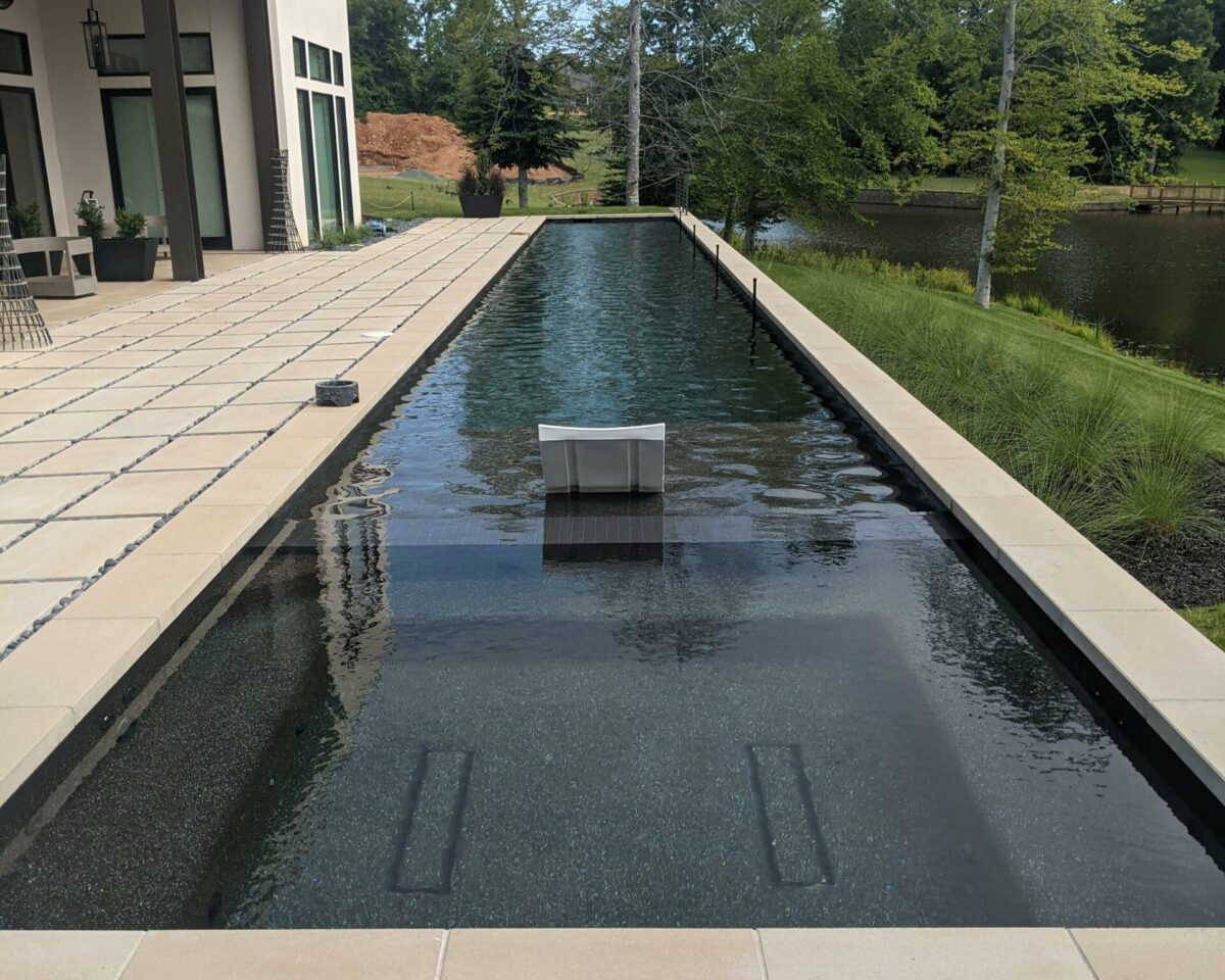 How to Keep Frogs Out of Your Pool - Vue Custom Pools & Design